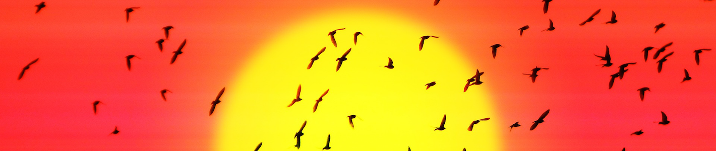 Migrating Your Website from WordPress to HubSpot Migrating Your Website from WordPress to HubSpot
